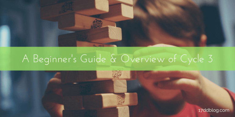 A Beginners Guide and Overview of Cycle 3 | 17 Day Diet
