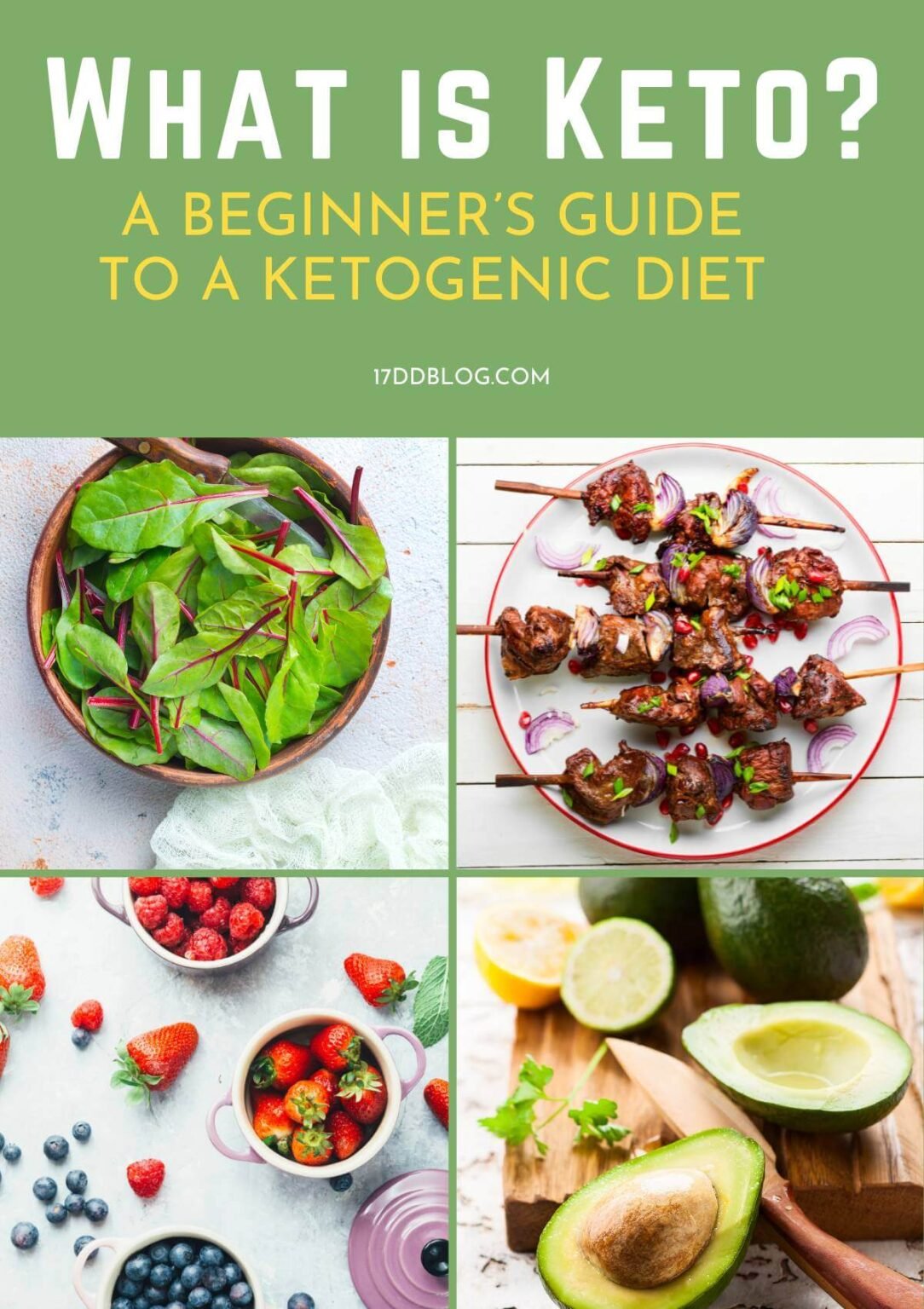 What is Keto? Ketogenic Diet for Beginners | My 17 Day Diet Blog